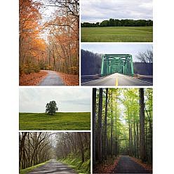 Neutral Digital Backdrops