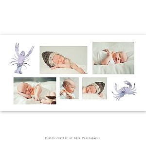 Sea Life Watercolor Album Book (12×12) – Squijoo.com