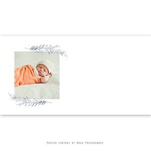 Sea Life Watercolor Album Book (12×12) – Squijoo.com