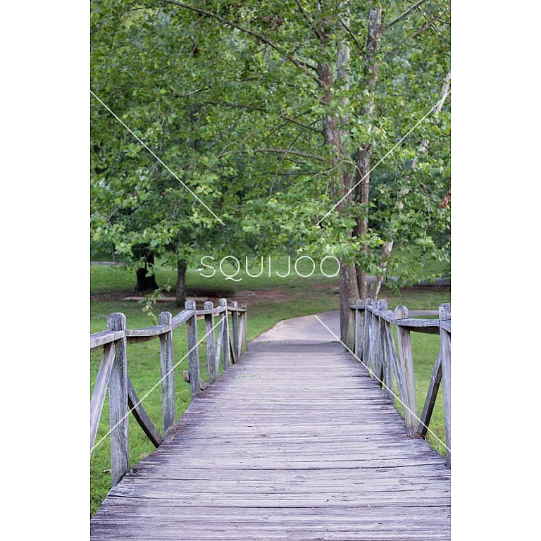 Rainbow Bridge Heaven Digital Backdrop – Squijoo.com