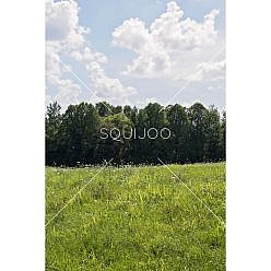 Neutral Digital Backdrops | Squijoo.com