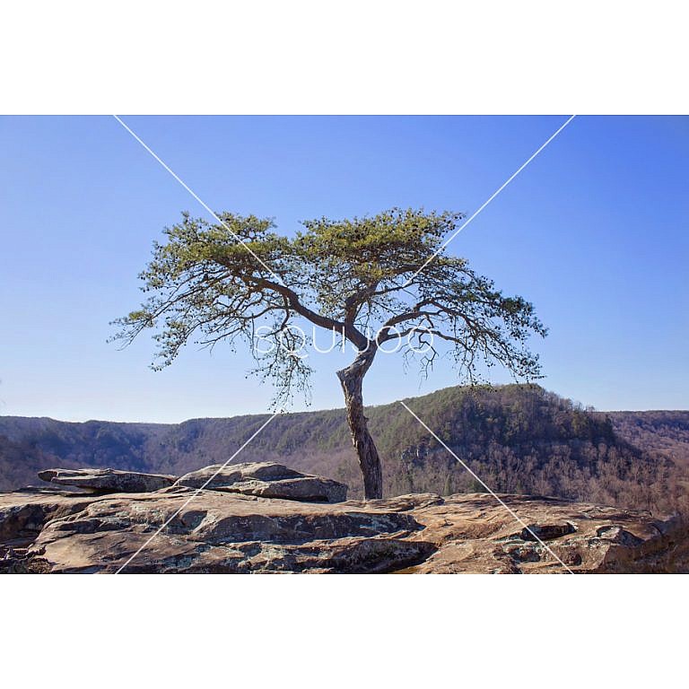 Other – Page 4 – Squijoo.com