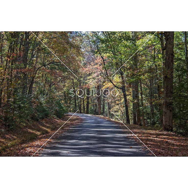 Fall Road Digital Backdrop – Squijoo.com
