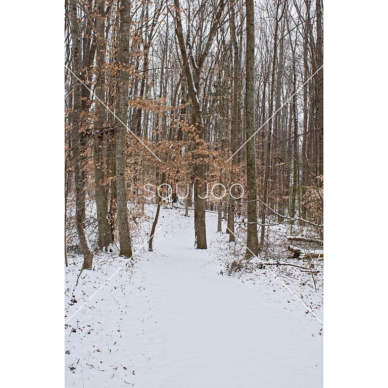 Other – Page 3 – Squijoo.com