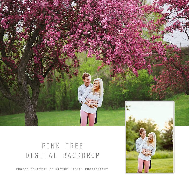 Beach Digital Backdrops | Squijoo.com