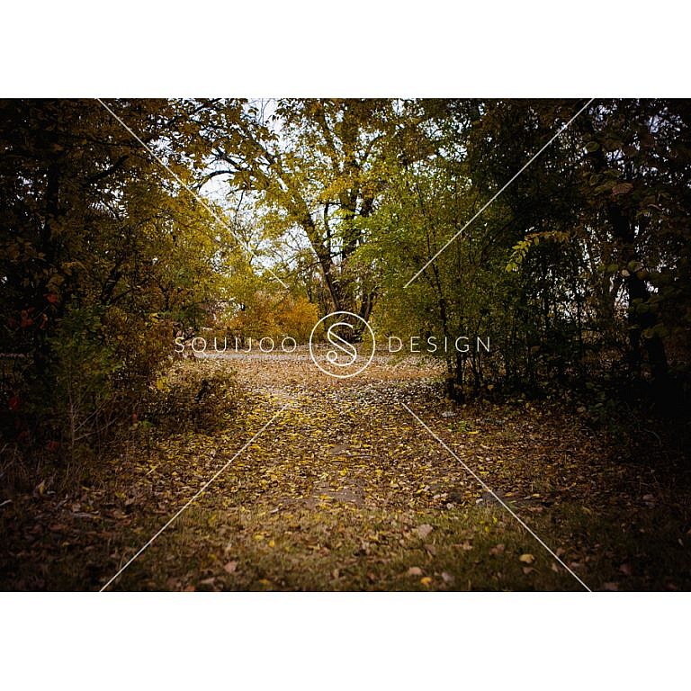 Fields – Page 4 – Squijoo.com