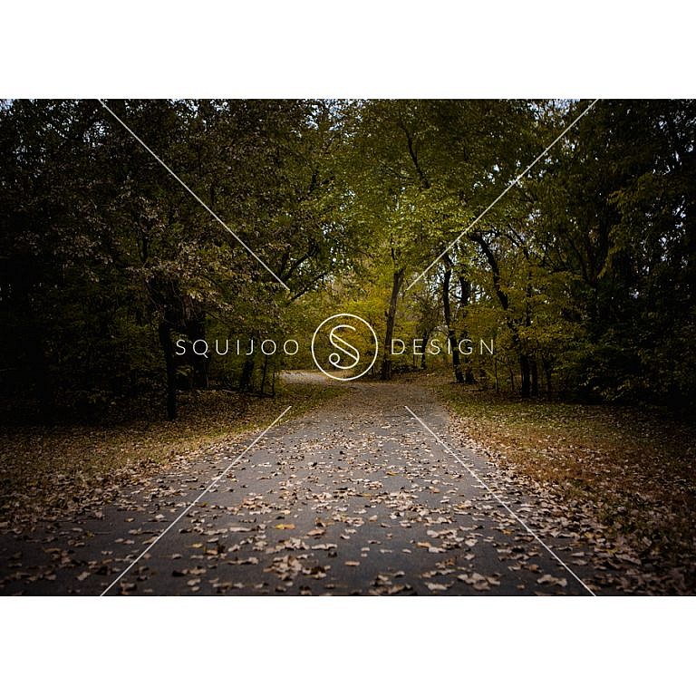 Fields – Page 4 – Squijoo.com