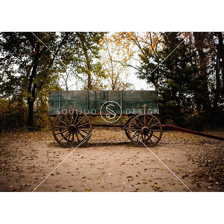 Old Wagon Digital Backdrop – Squijoo.com