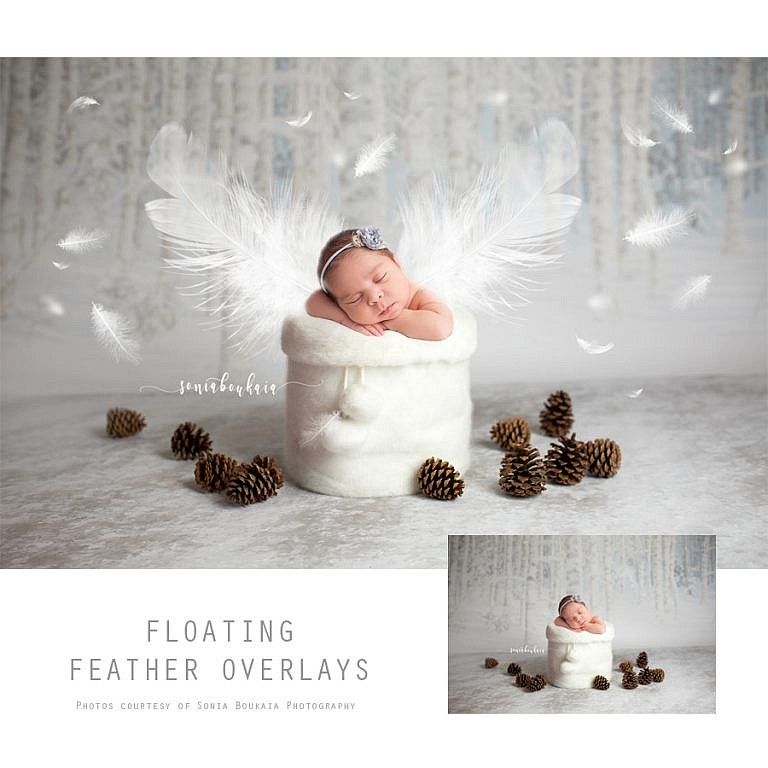 Floating Feather Overlays – Squijoo.com