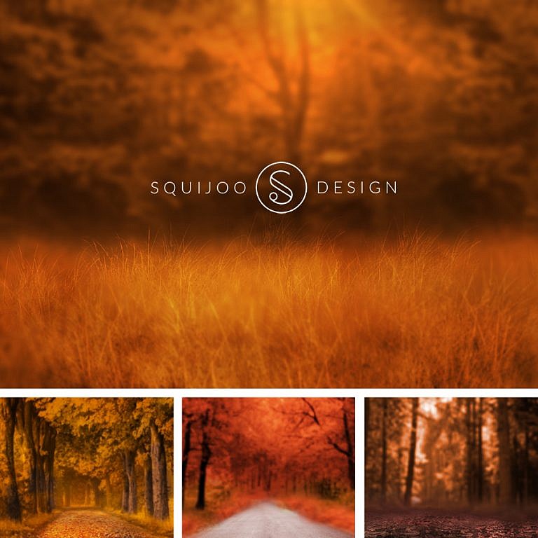 Fantasy Fall Digital Backdrops – Squijoo.com