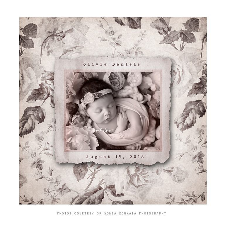 Rose Vintage Photo Layout (12×12) – Squijoo.com