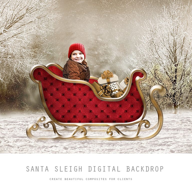 Santa Sleigh Digital Backdrop (16×20) – Squijoo.com