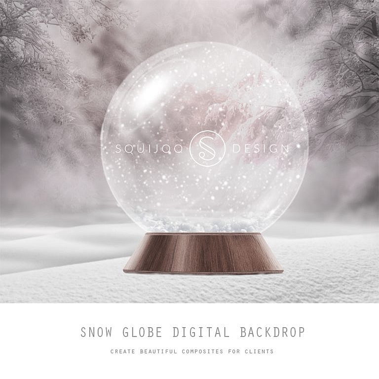 Snow Globe Digital Backdrop: Forest (16×20) – Squijoo.com