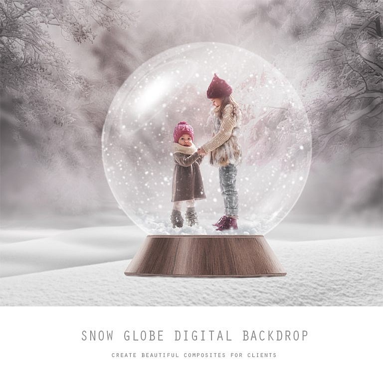 Snow Globe Digital Backdrop: Forest (16×20) – Squijoo.com
