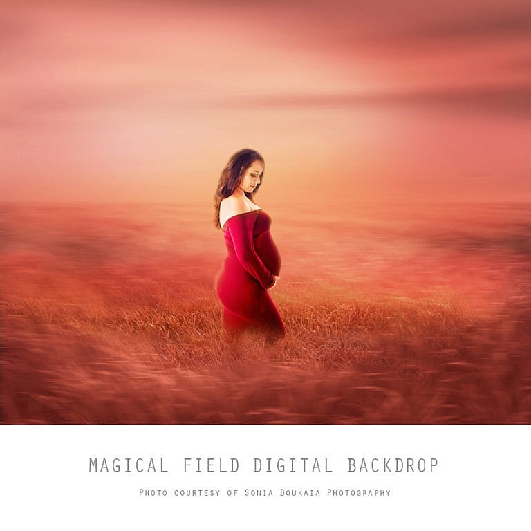 Fields – Page 4 – Squijoo.com