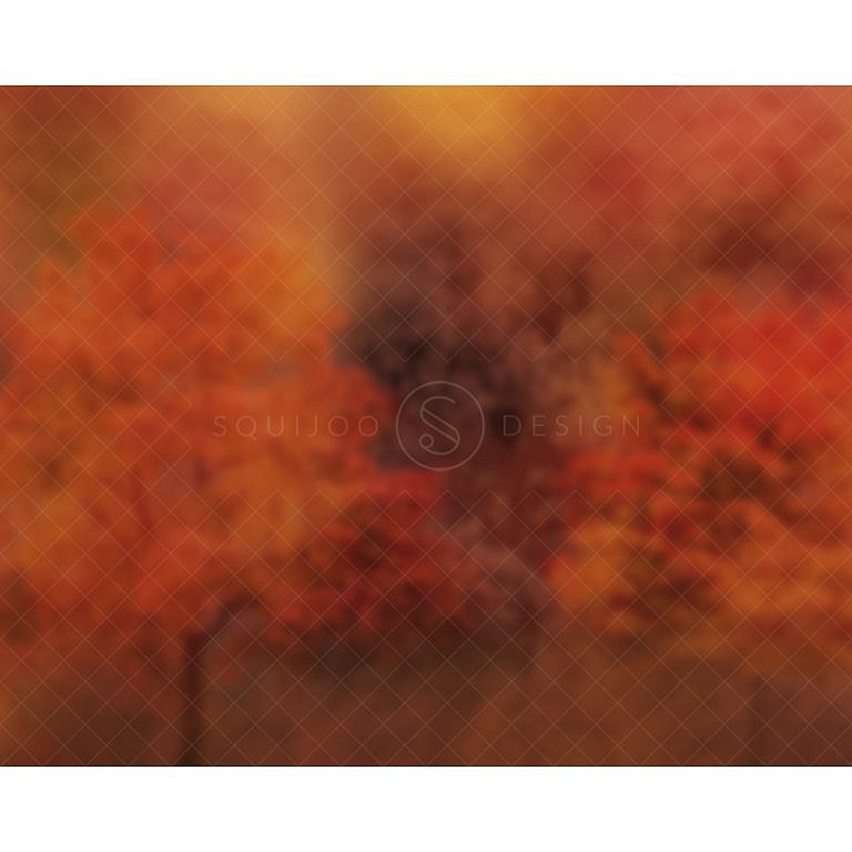 Color Fall Digital Backdrop – Squijoo.com