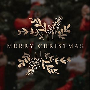 Gold Merry Christmas Word Art Overlays – Squijoo.com