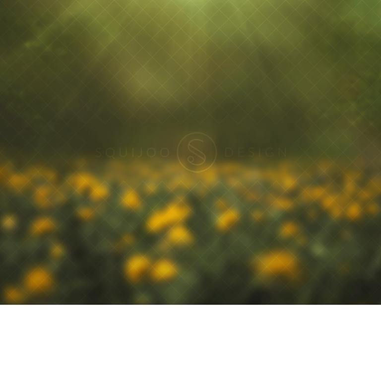 Fields – Page 4 – Squijoo.com