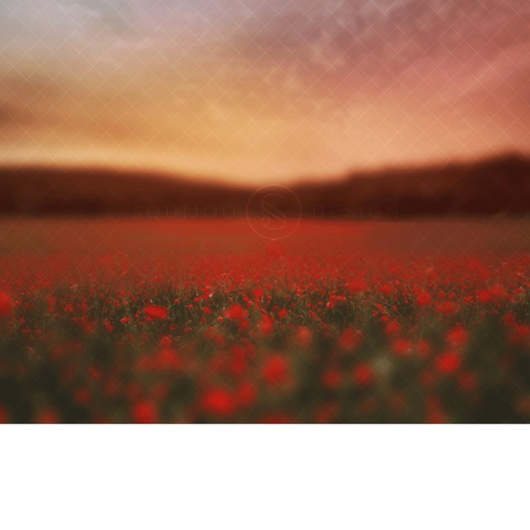 Red Flower Field Digital Backdrop – Squijoo.com