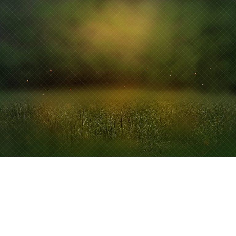 Fields – Page 3 – Squijoo.com