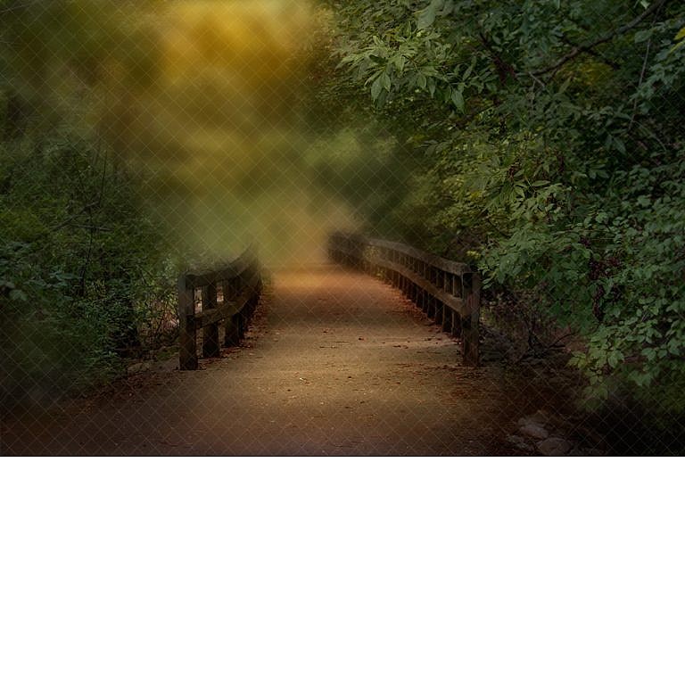 Dreamy Path To Love Digital Backdrop – Squijoo.com