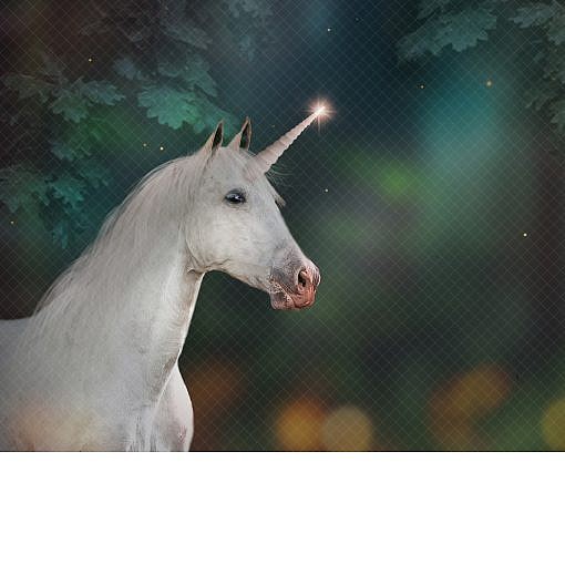 Fantasy – Page 2 – Squijoo.com