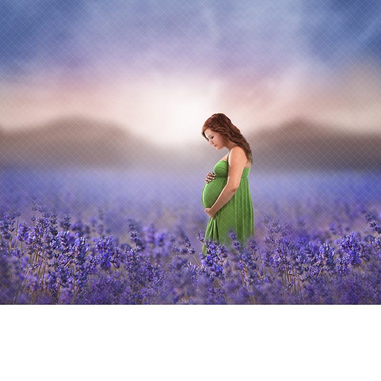 Fields – Page 3 – Squijoo.com