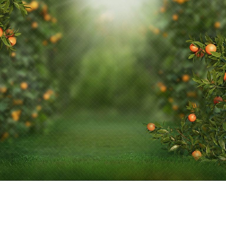 Fields – Page 3 – Squijoo.com