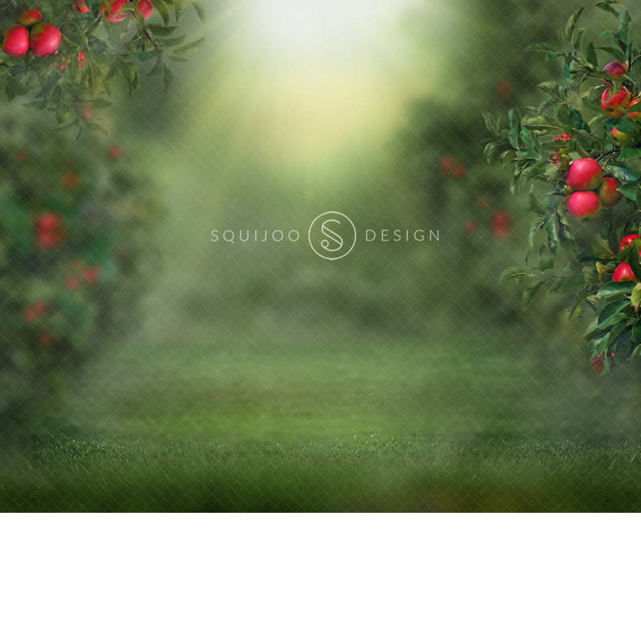 Dreamy Apple Orchard Digital Backdrop – Squijoo.com