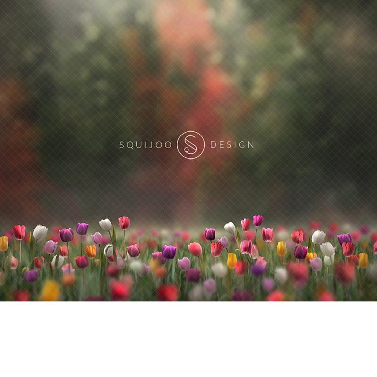 Fields – Page 3 – Squijoo.com