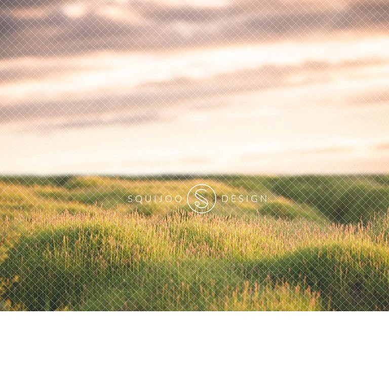 Fields – Page 3 – Squijoo.com