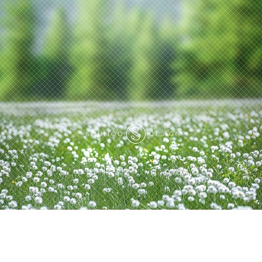 Fields – Page 3 – Squijoo.com