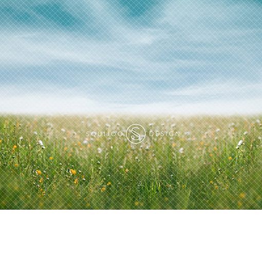 Fields – Page 3 – Squijoo.com