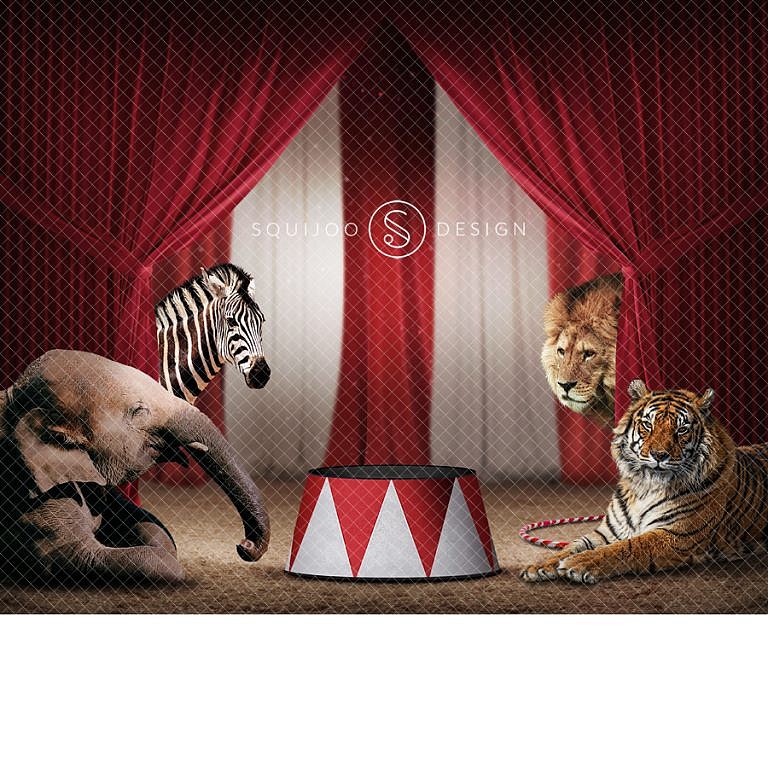 Circus Animals Digital Backdrop – Squijoo.com