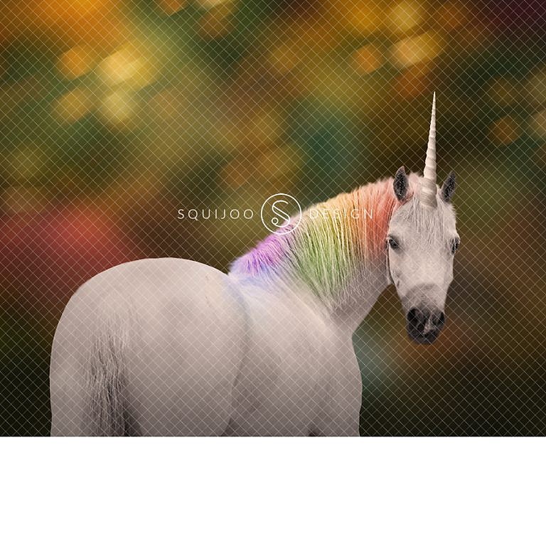 Fantasy – Page 2 – Squijoo.com