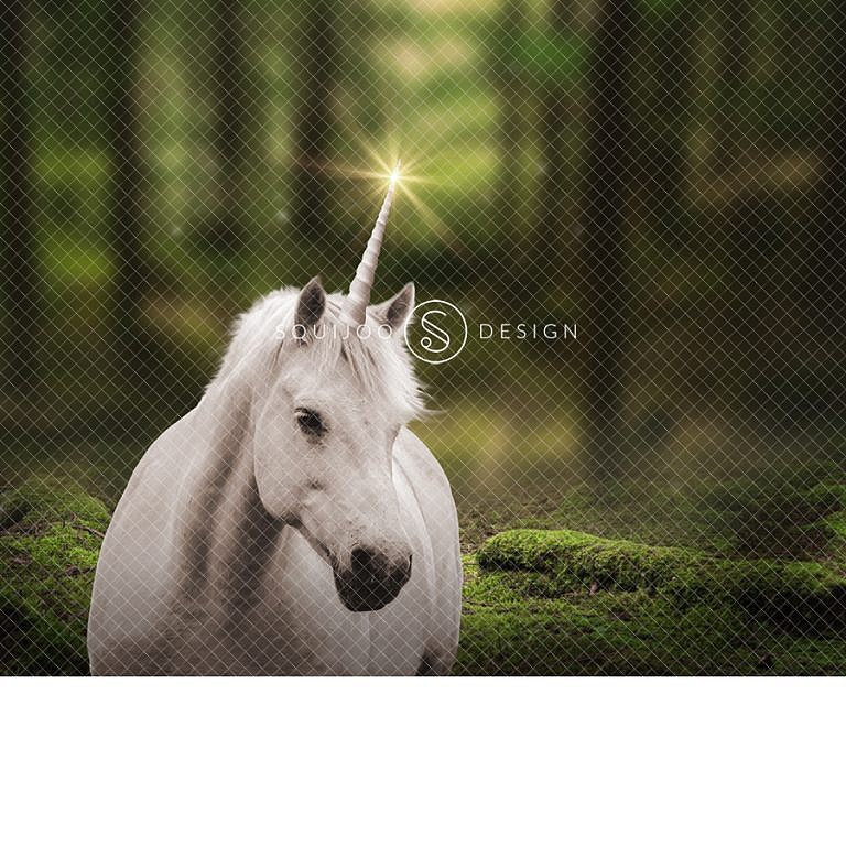 Fantasy – Page 2 – Squijoo.com