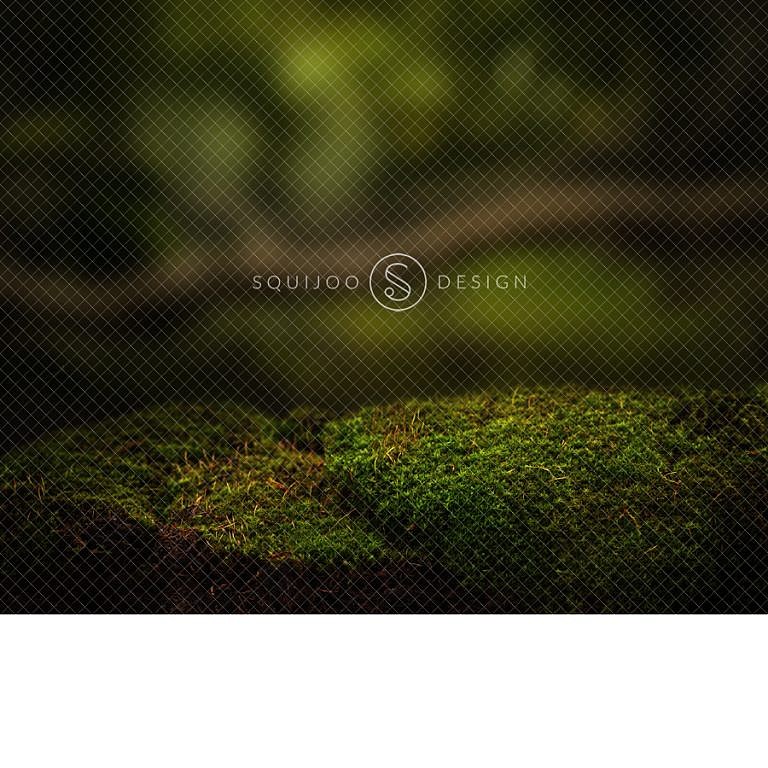 Fantasy – Page 4 – Squijoo.com