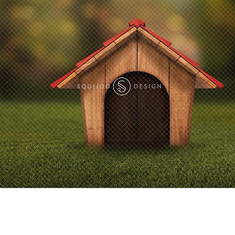 Dog Play House Digital Backdrop – Squijoo.com