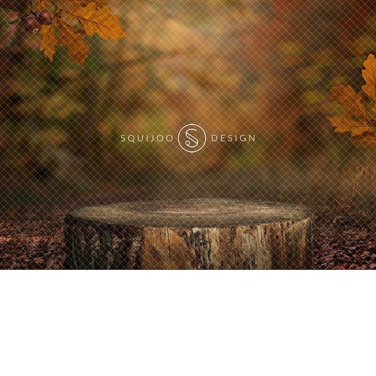 Fall Season Digital Backdrop – Tree Trunk – Squijoo.com