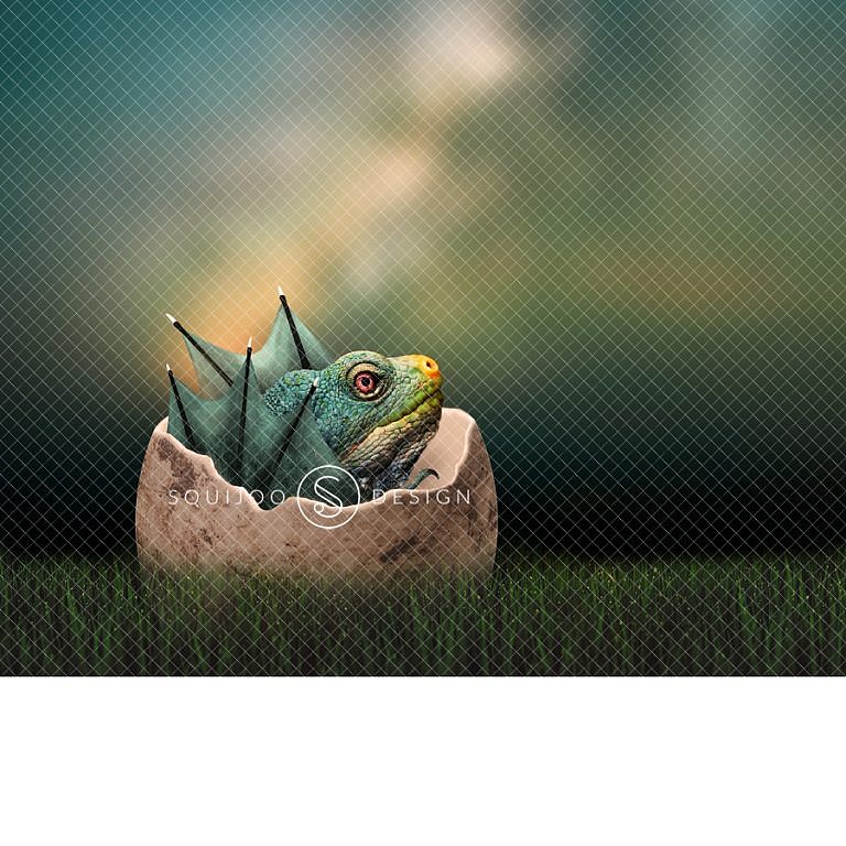 Fantasy – Page 2 – Squijoo.com