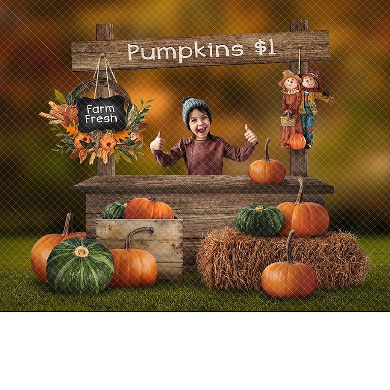 Fall – Squijoo.com