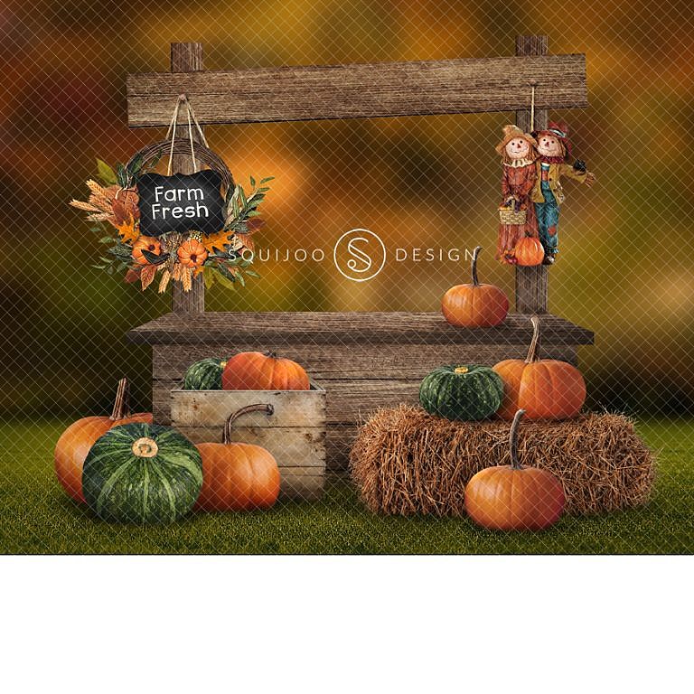 Pumpkin Booth Fall Digital Backdrop – Squijoo.com