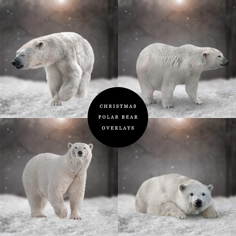 Overlays – Page 2 – Squijoo.com