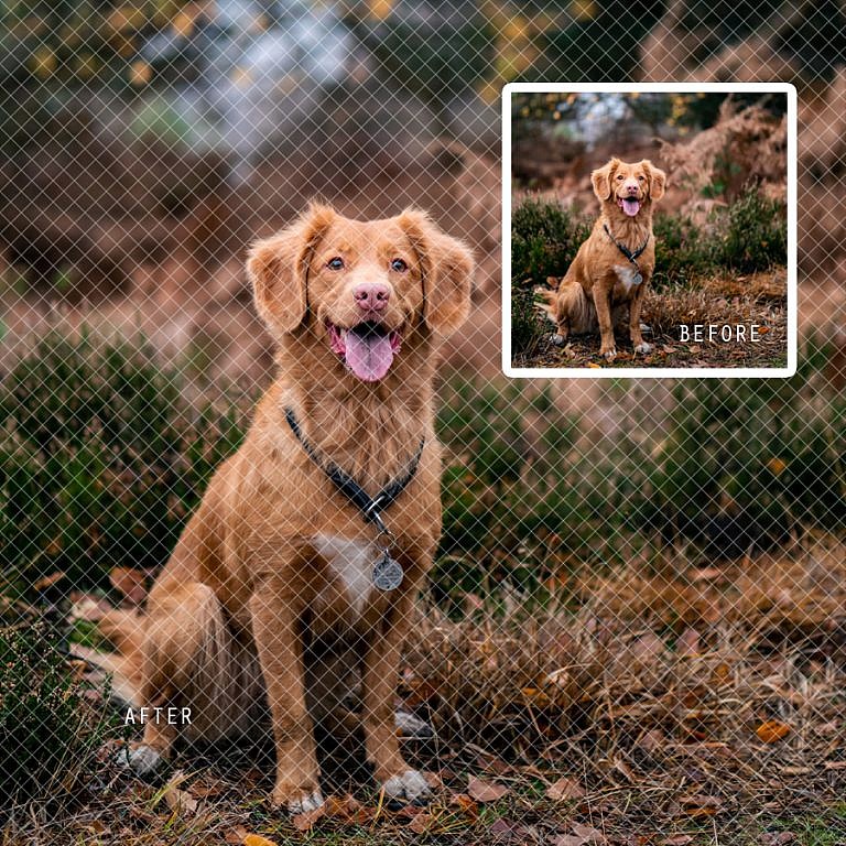 Watermark Grid Overlay – Squijoo.com