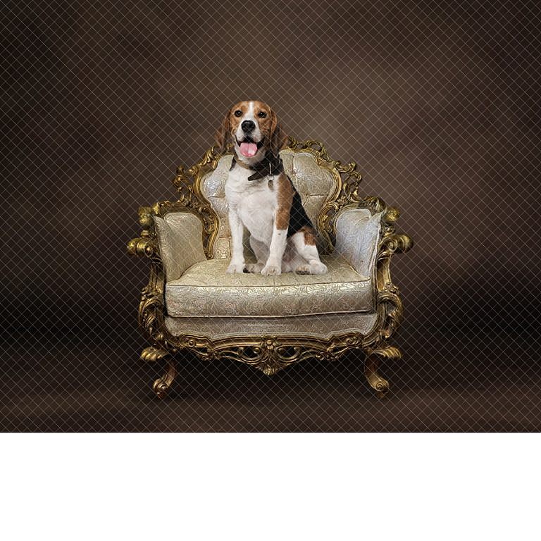 Studio – Squijoo.com