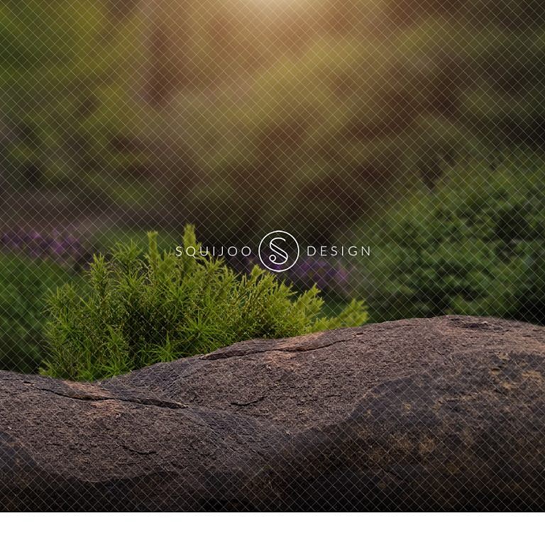 Fields – Squijoo.com