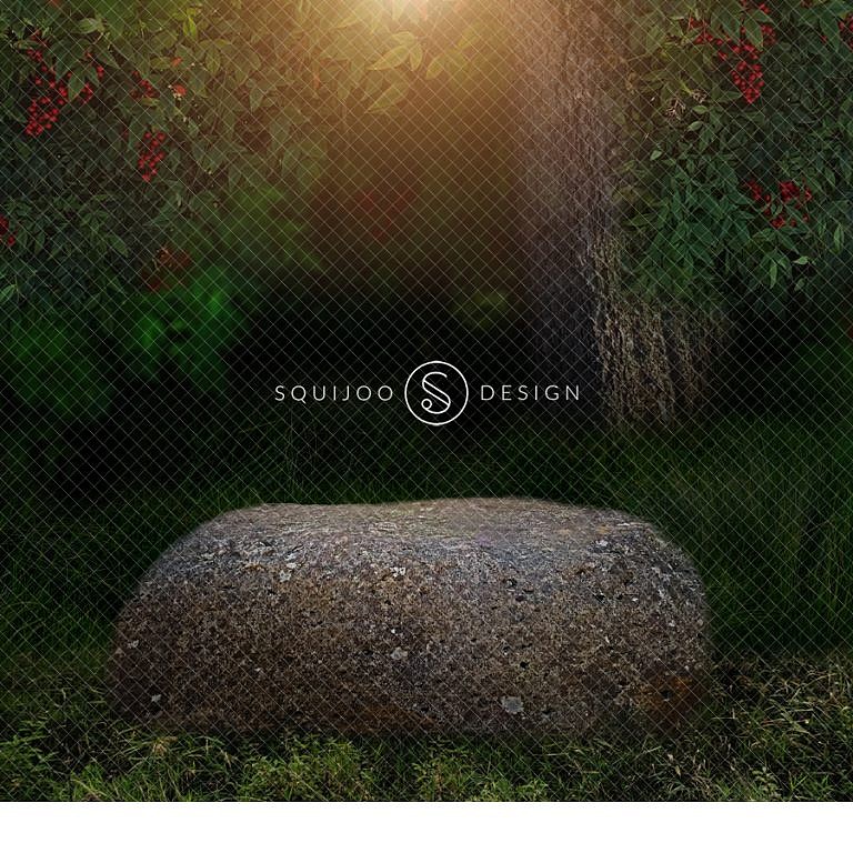 Fields – Page 2 – Squijoo.com