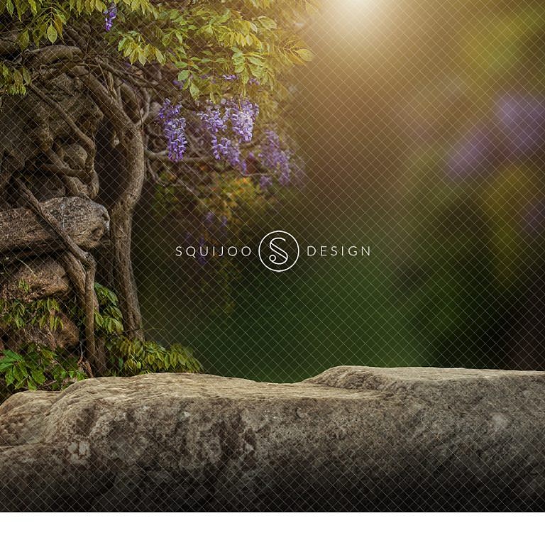 Fields – Page 2 – Squijoo.com