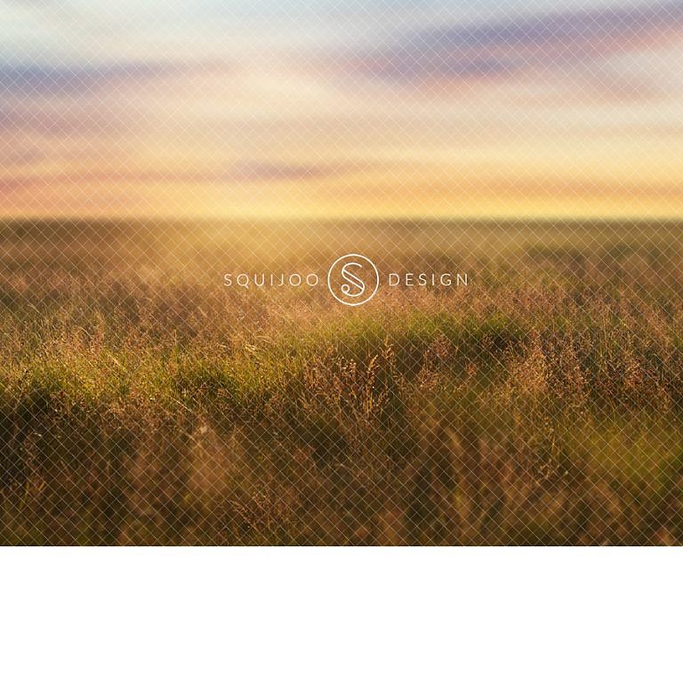 Fields – Page 2 – Squijoo.com