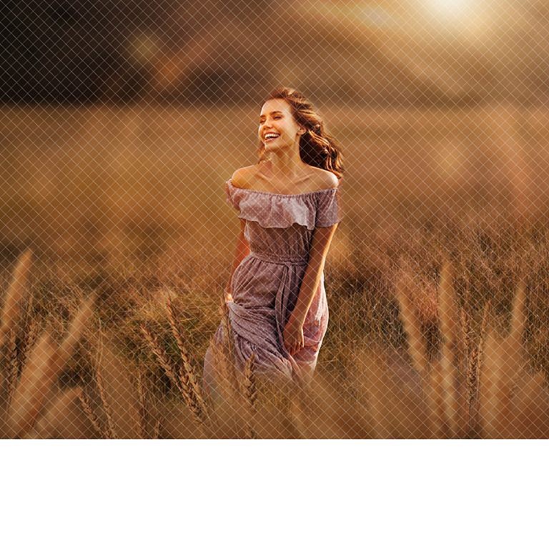 Fields – Page 2 – Squijoo.com